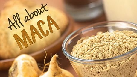 All About Maca | Openhand